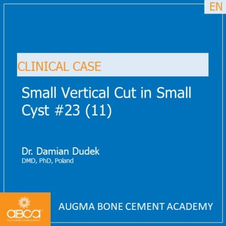 Small Vertical Cut in Small Cyst #23 (11) - Augma Biomaterials
